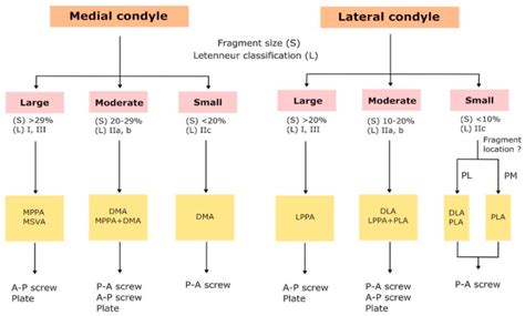 Management Of Distal Femoral Fractures A Review Article Journal Of