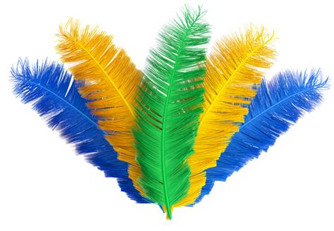 Feather Pngs For Free Download