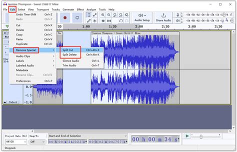 Guide How To Split An Audio Track In Audacity With Ease