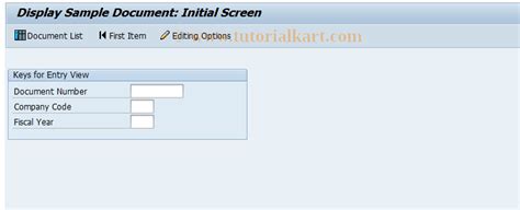 FBM SAP Tcode Display Sample Document