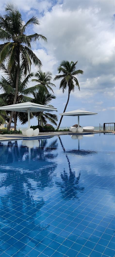 Reflection Pool Summer Free Photo On Pixabay Pixabay