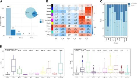 Multi Tissue Rna Seq Analysis And Long Read Based Genome Assembly