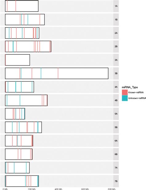 Chromosome Distribution Of All Identified Mirnas Download Scientific