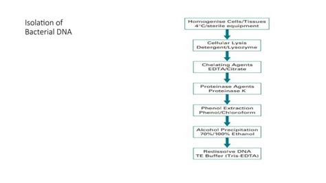 Recombinant Techniquespptx Dr Madhushree Pahari Pptx Biological