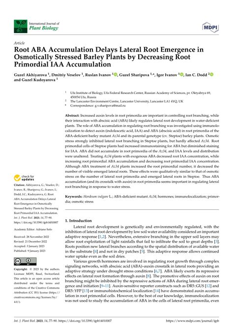 Pdf Root Aba Accumulation Delays Lateral Root Emergence In