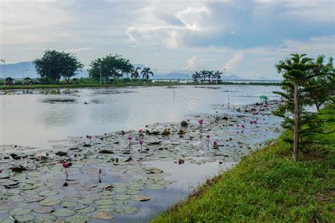 Laguna Lake Laguna De Bay Philippines On A Nice Morning In October