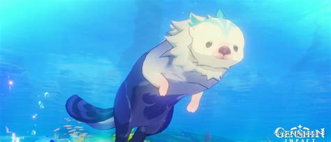 Omgg These Otters Are So Cute😍😍 Genshin Impact Hoyolab