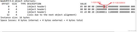 synchronized底层的锁 classlayout parseinstance csdn博客