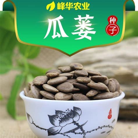 余記丶吊瓜子 瓜蔞種子 天花粉栝樓吊瓜潤肺祛痰材野生糖瓜蔞瓜種籽 露天市集 全台最大的網路購物市集