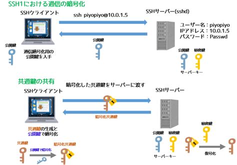 Sshサーバーの構築 Sshdを起動してリモート接続しよう！ ネットdeカガク