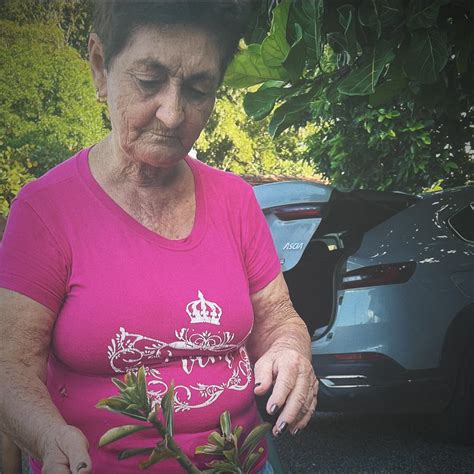 Novela Da Clementina Diego E Lalá Terra Roxa Pr