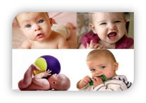Desarrollo Evolutivo Del NiÑo