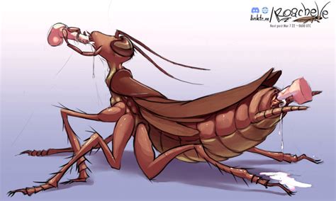 Rule 34 5 3 Absurd Res Arthropod Arthropod Abdomen Arthropod Abdomen