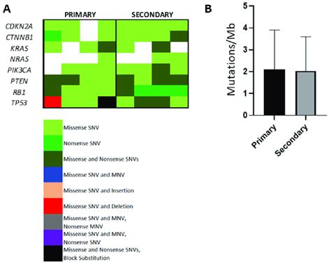 Comparison Of The Tumour Mutational Burden Tmb In Primary And