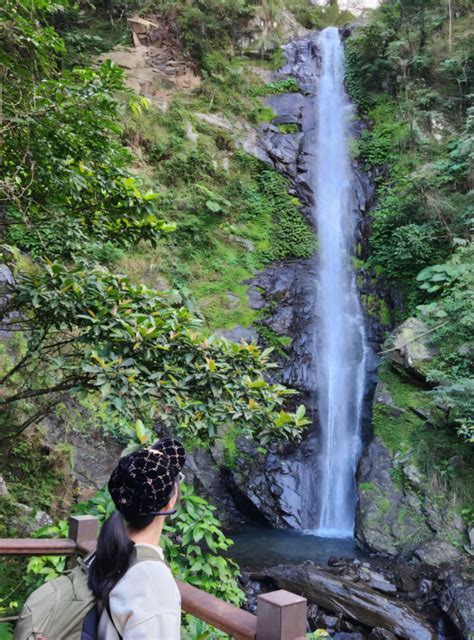 靜謐幽雅，超脫絕美，宜蘭舊寮瀑布步道（中山步道） 健行筆記