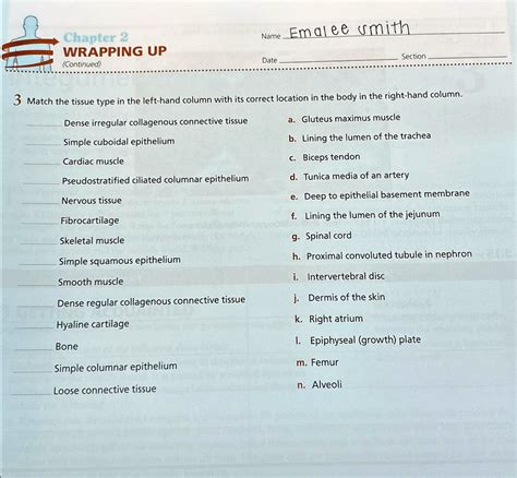 Solved Name Emalee Smith Date Section 3 Match The Tissue Type In The Left Hand Column With