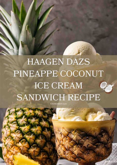 Haagen Dazs Pineapple Coconut Ice Cream Recipe Ice Cream Diy Ice