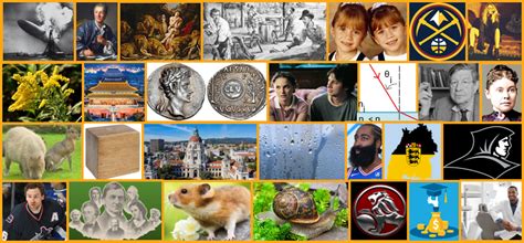 Pick The Den Things Pt 2 Quiz By Tasi