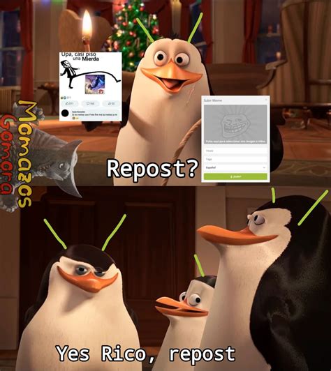 Top Memes De Pinguinos En Español Memedroid