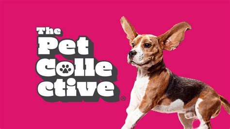 Watch Comedy Movies And Shows Online With Plex Plex