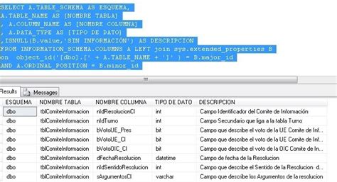 Diccionario De Datos Sql Server 2008