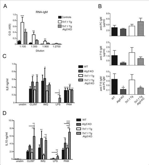 Mouse Igm Monoclonal Antibody Ii41 Fitc 11 5790 81