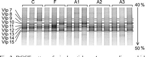 Figure 2 From Methanotrophic Bacteria In Boreal Forest Soil After Fire