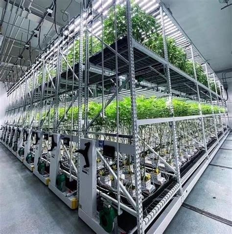 Grow Equipment For Sale At Ruder Equipment