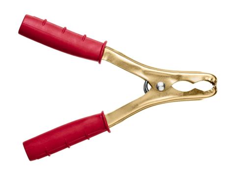 Foreceps Images Free Download On Freepik