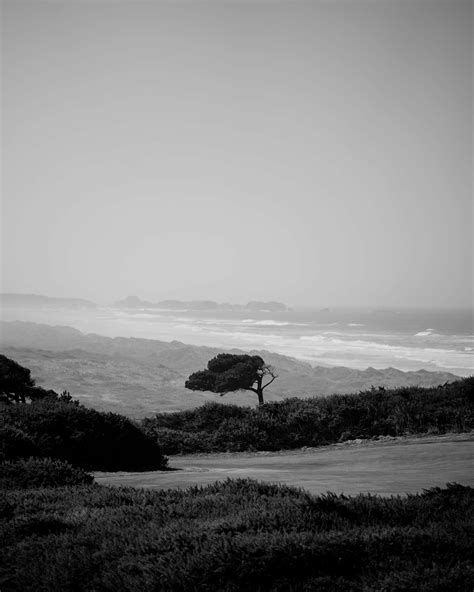 Bandon Dunes Golf Resort Added Bandon Dunes Golf Resort