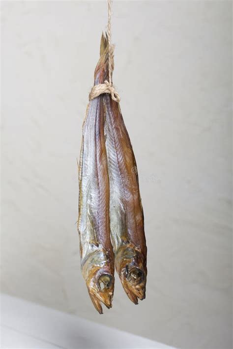 Putassu Cold Smoked Hanging On A String The Fish Is Wrapped With A