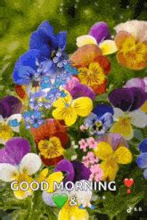 Morning Flowers S Tenor