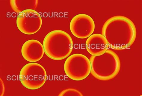 Resin Used In Solid Phase Peptide Synt Stock Image Science Source Images