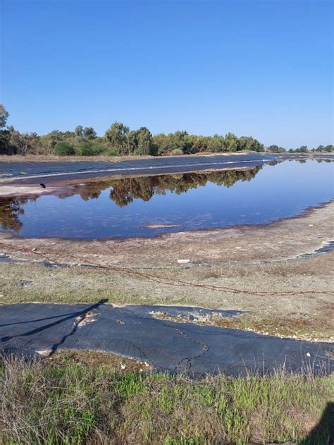 מי קולחין Fxp