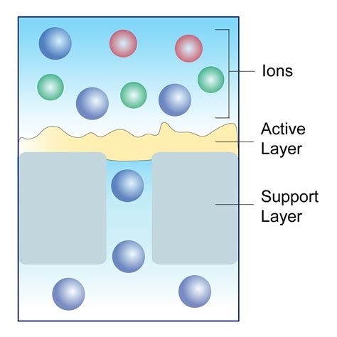 Filtration Membrane Classification At Dianne Campbell Blog