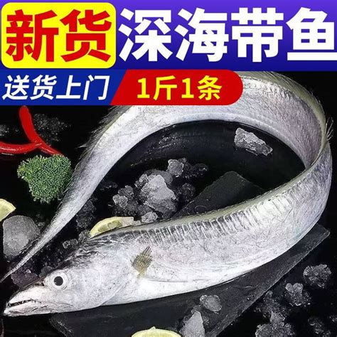 大号新鲜带鱼整条特级带鱼无冰净重野生黑眼带鱼批发整箱冷冻刀鱼 整条带鱼5斤装【05 1斤条】【图片 价格 品牌 报价】 京东