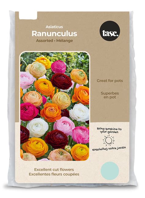 Bulbs Are Easy Ranunculus Assorted Spring Flowering Bulbs Canadian Tire