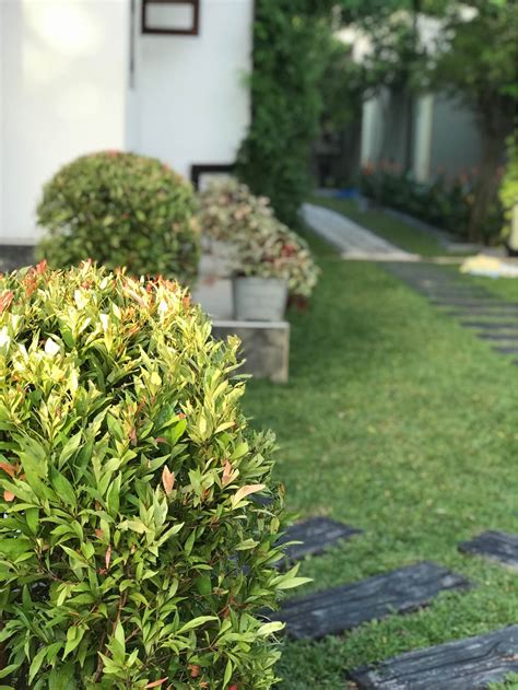 Swayan Rakiya Welada Pola ස්වයං රැකියා වෙළද පොළ ඔබගේ සිහින ගෙවත්ත