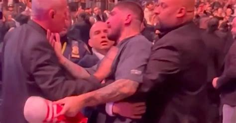 Dana White Bans Dillon Danis For Life After Ufc 322 Brawl With Makhachevs Team Mma Uk