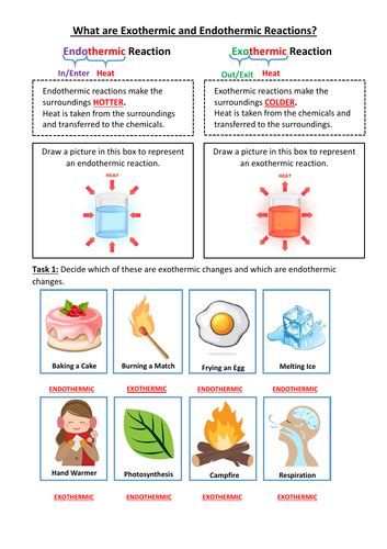 Exothermic And Endothermic Reactions Teaching Resources