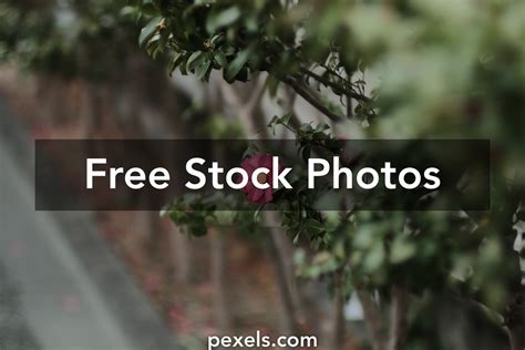 Background For Roadside Assistant Photos Download The Best Free Background For Roadside