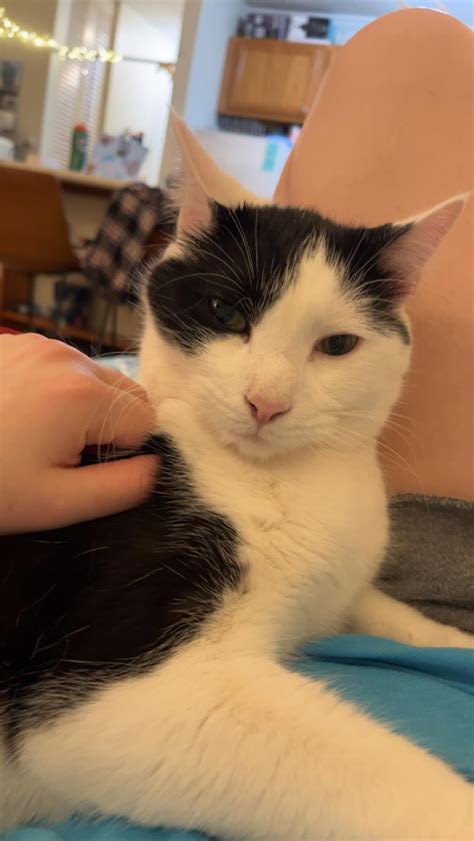 Good Thing Zuko Likes Boops Because I Cant Stop Tapping On His Lil