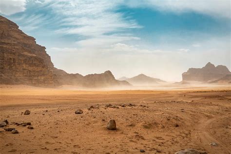 The Arabian Desert A Z Animals