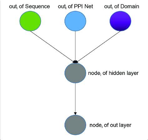 The Architecture Of One Single Go Classifier In The Weighted
