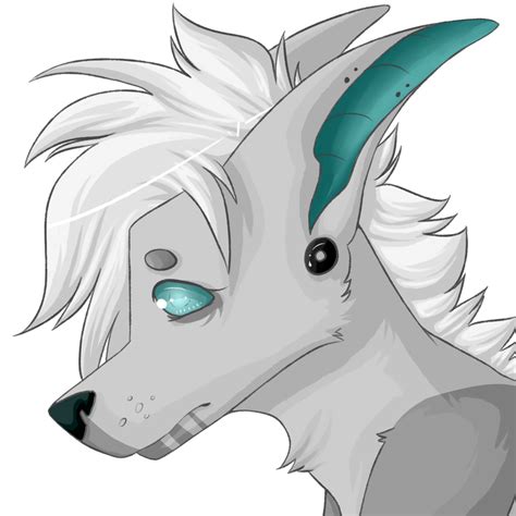 Lupi Contest Prize By Dracolein On Deviantart