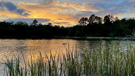 Sunset At Tyler State Park Tx Rrvliving