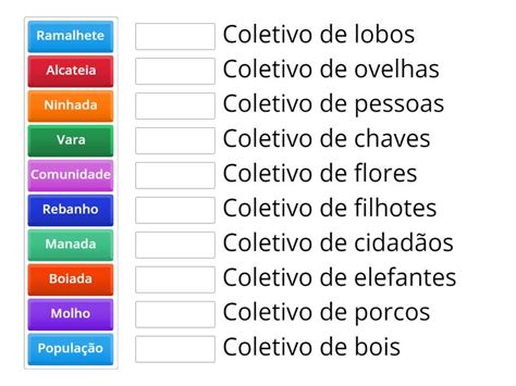 Substantivos Coletivos 3° Ano Fundamental Połącz W Pary