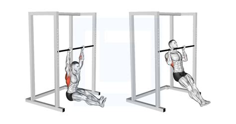 Inverted Row Under Table Guide Benefits And Form