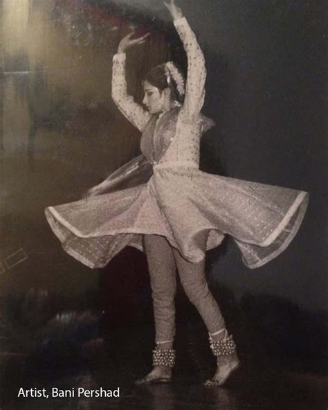 Artist Bani Pershads Work History