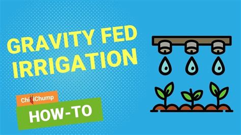 Homemade Gravity Irrigation System